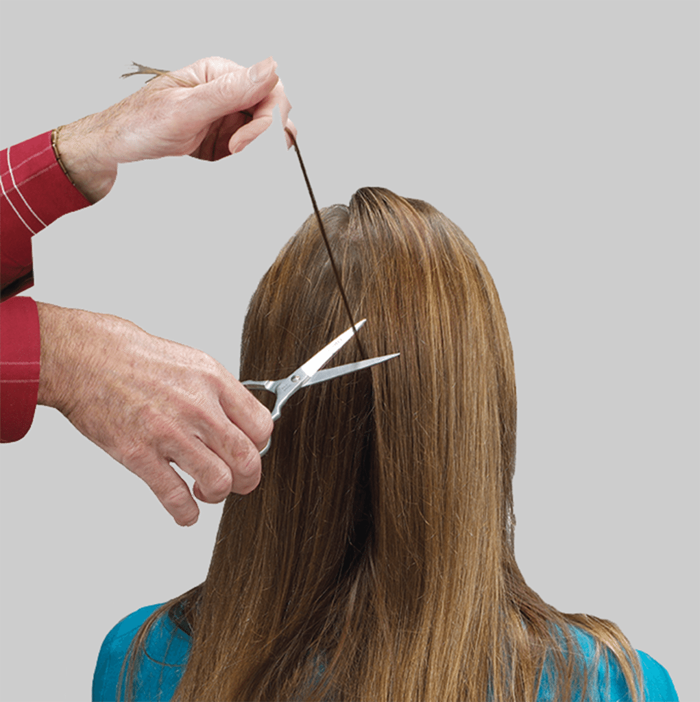 Hair Follicle Drug Test Hair Follicle Drug Test